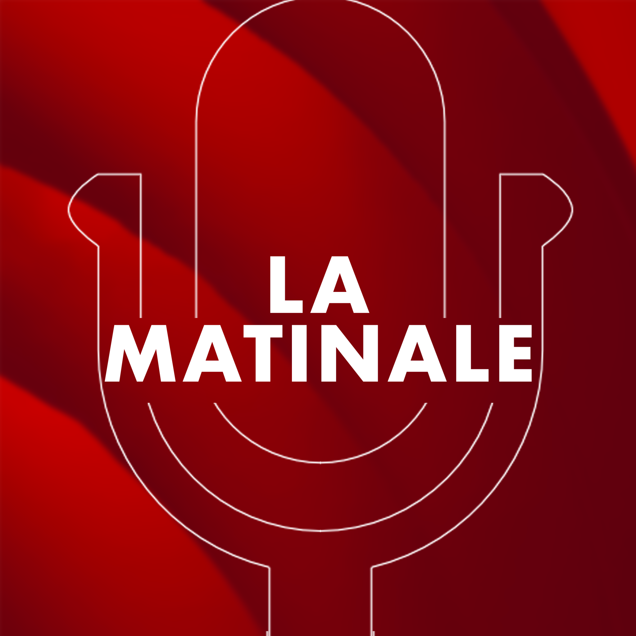 AraBel - Vivez la radio au pluriel